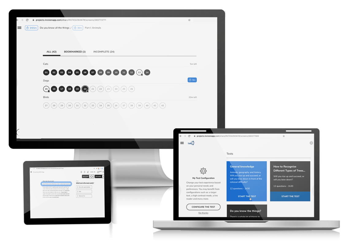 tao-digital-assessment-learn-more